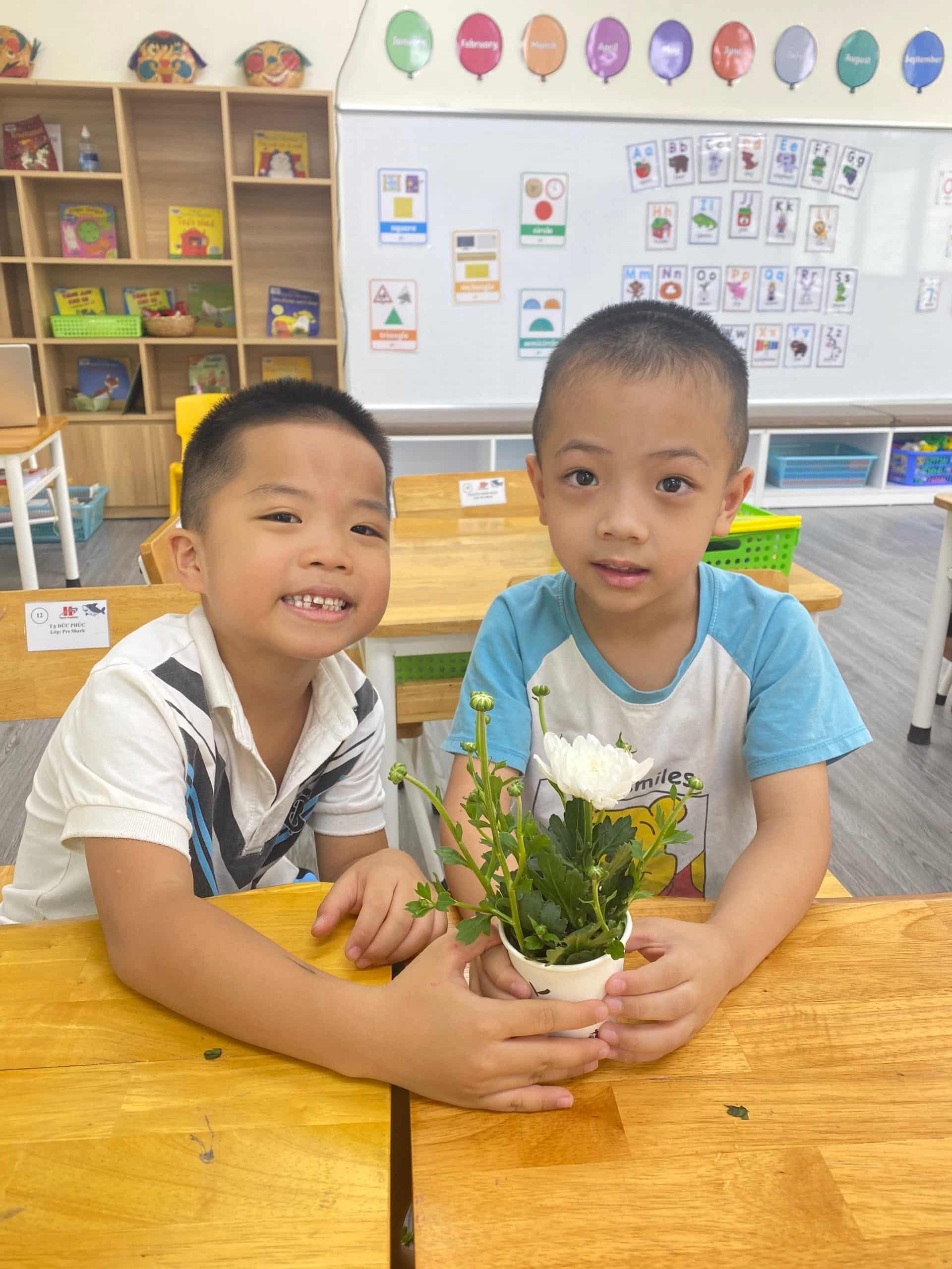 Thí nghiệm hoa đổi màu - Hanoi Academy